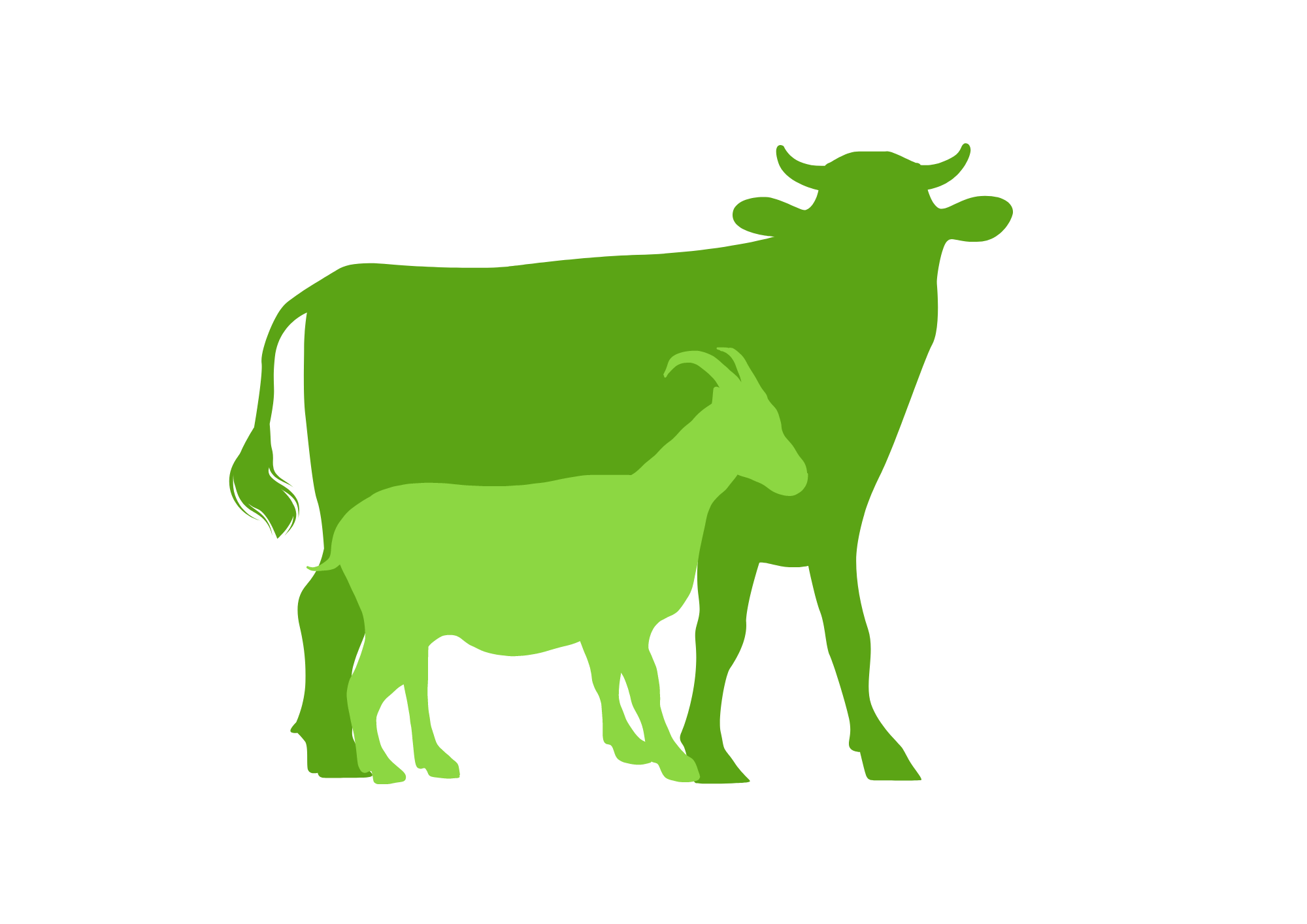 Chemlife Innovations Pvt Ltd